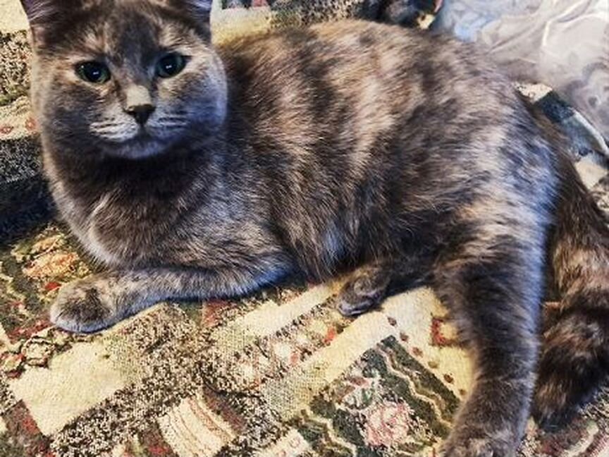 Лушенька в надежные, добрые ручки