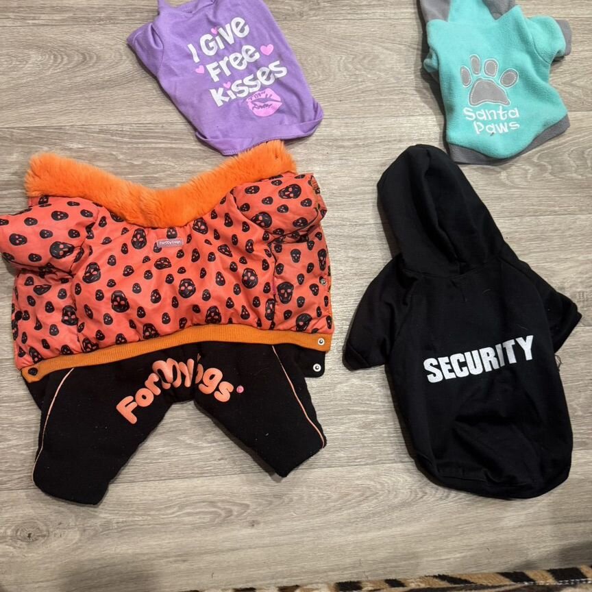 Одежда для собак