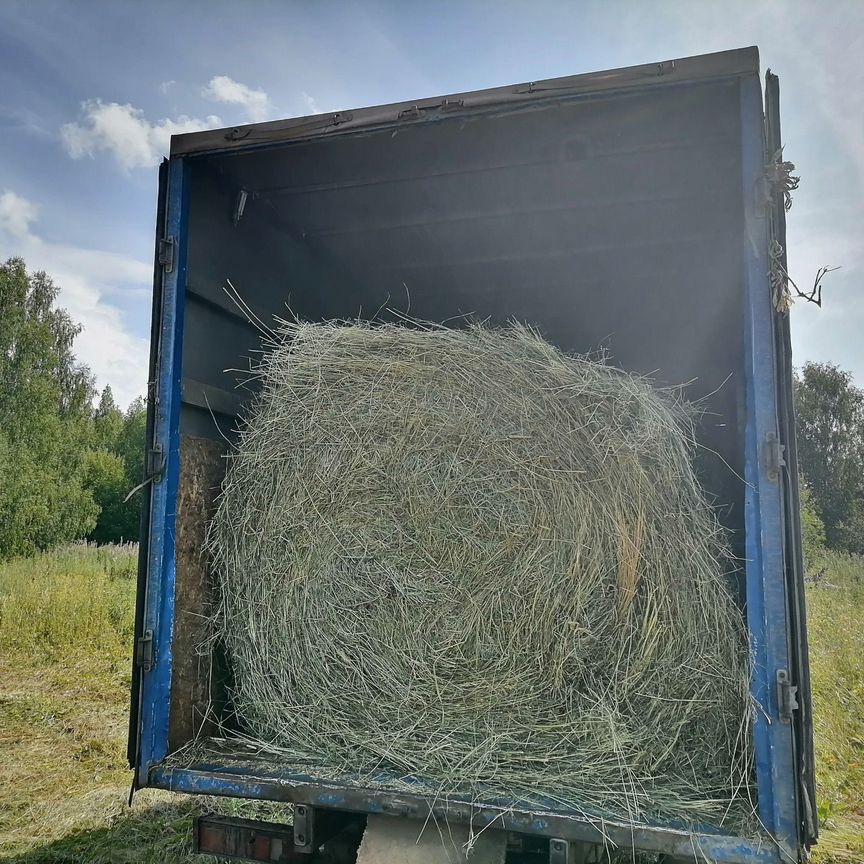 Сено в рулонах