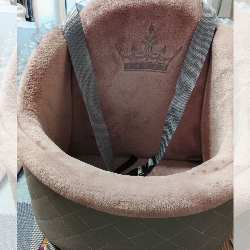 Переноска в машину для небольших животных