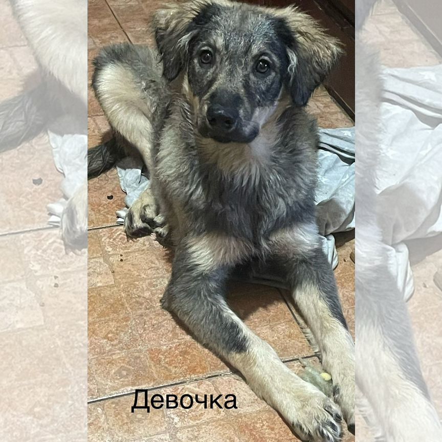 Красивая и умная. И так бывает тоже