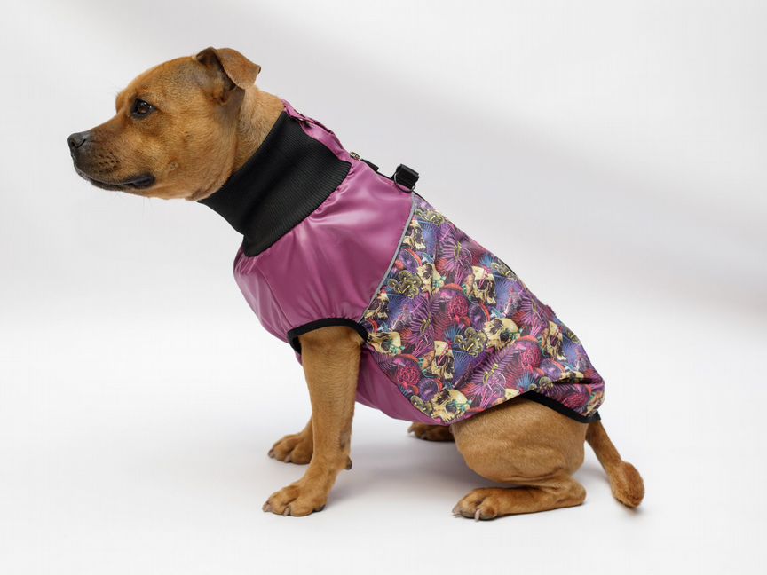 Жилетка для собак