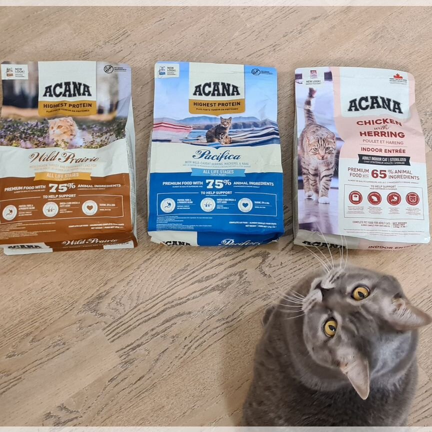 Корм для кошек acana