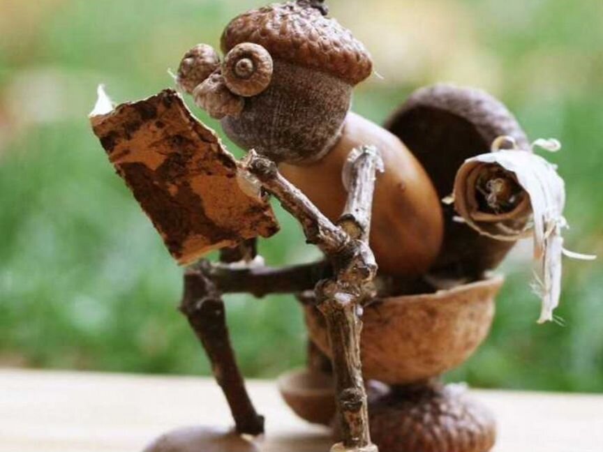 Жёлуди дуба