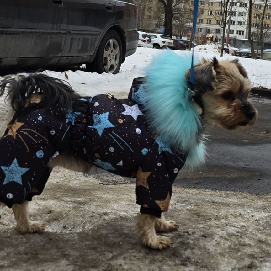 Комбинезон для собак