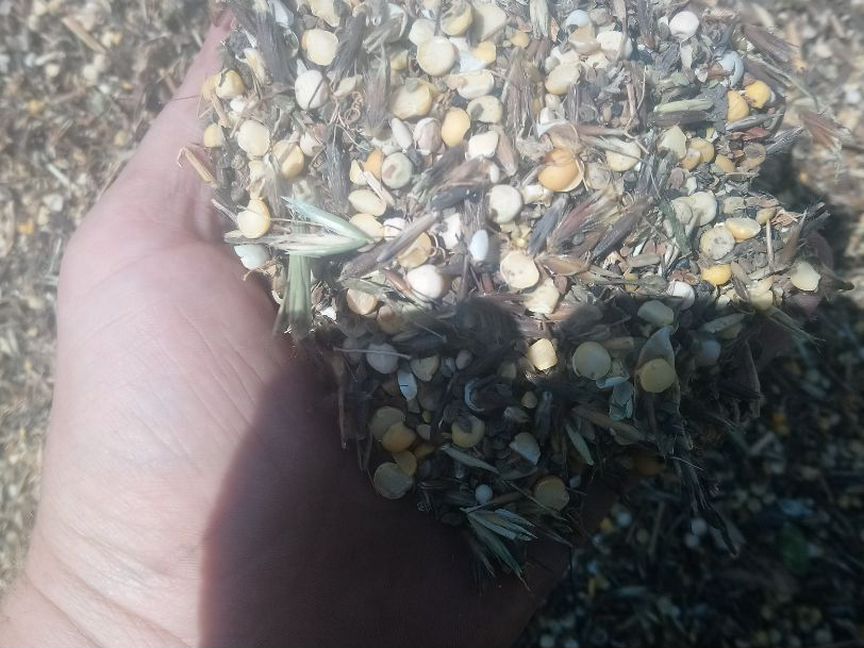 Гороховые отходы