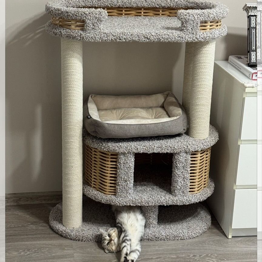 Комплекс/ домик для кошек большой