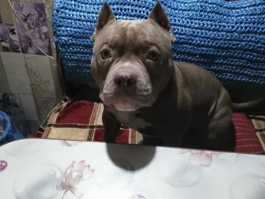 Ищем невесту