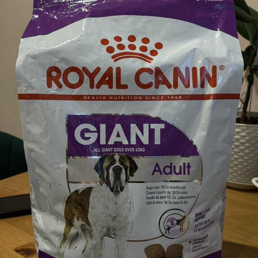 Корм для собак royal canin giant adult