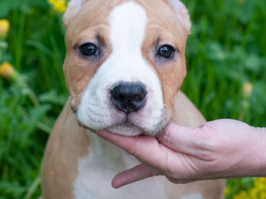 Яркое солнышко