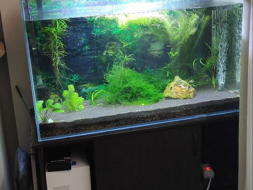 Аквариум на 230 л. Opti white, с тумбой, фильтром