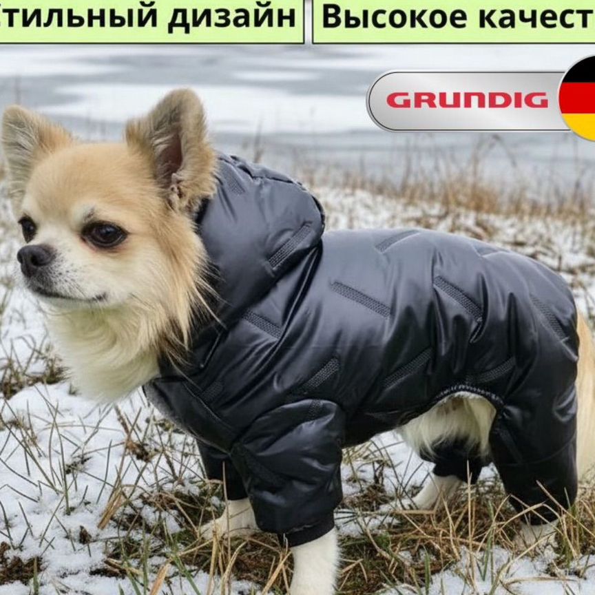 Одежда для собак