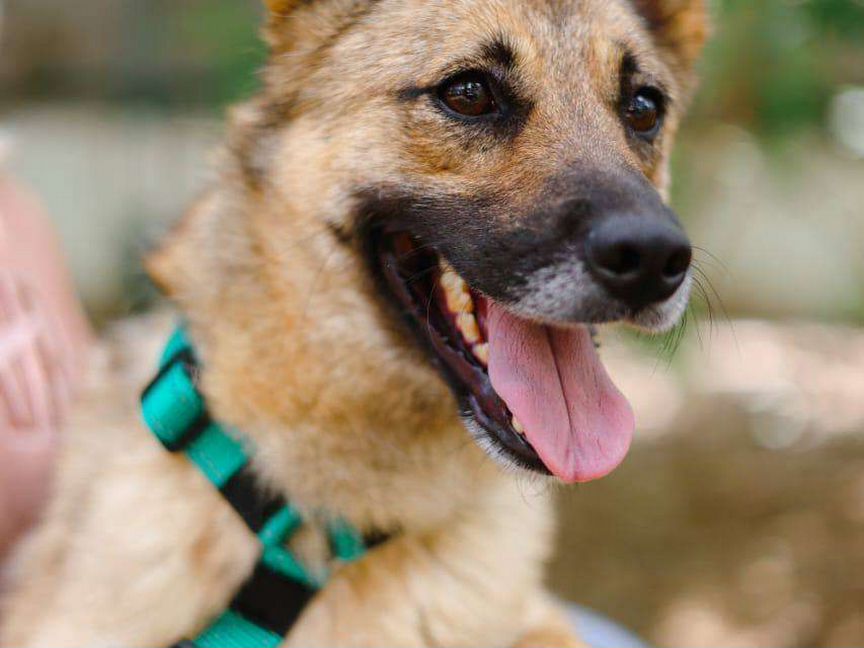 Маленькая Ларочка очень ждёт своего Человека