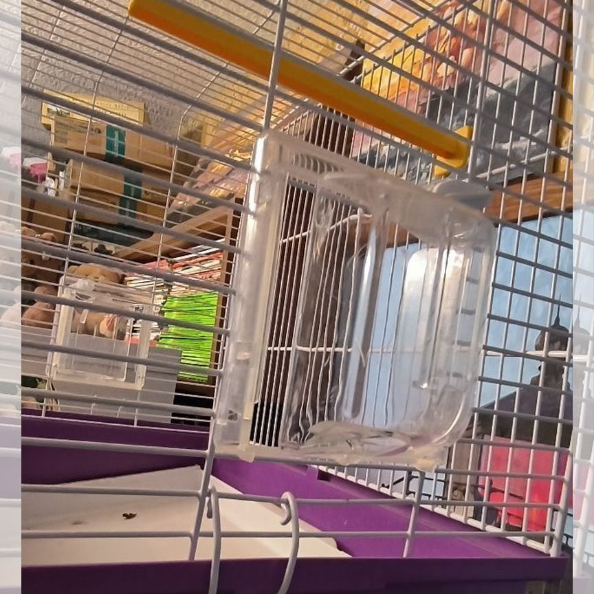 Клетка для попугайчиков или канареек