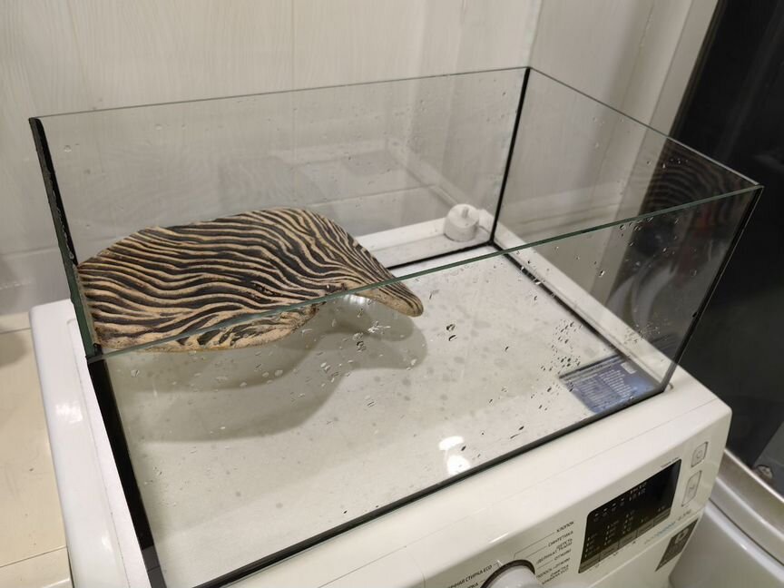 Черепашник 35 литров с островком