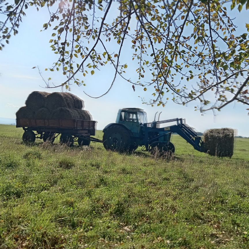 Продам сено 110 пресс или обменяю на крс