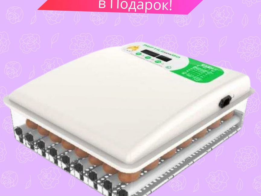 Инкубатор