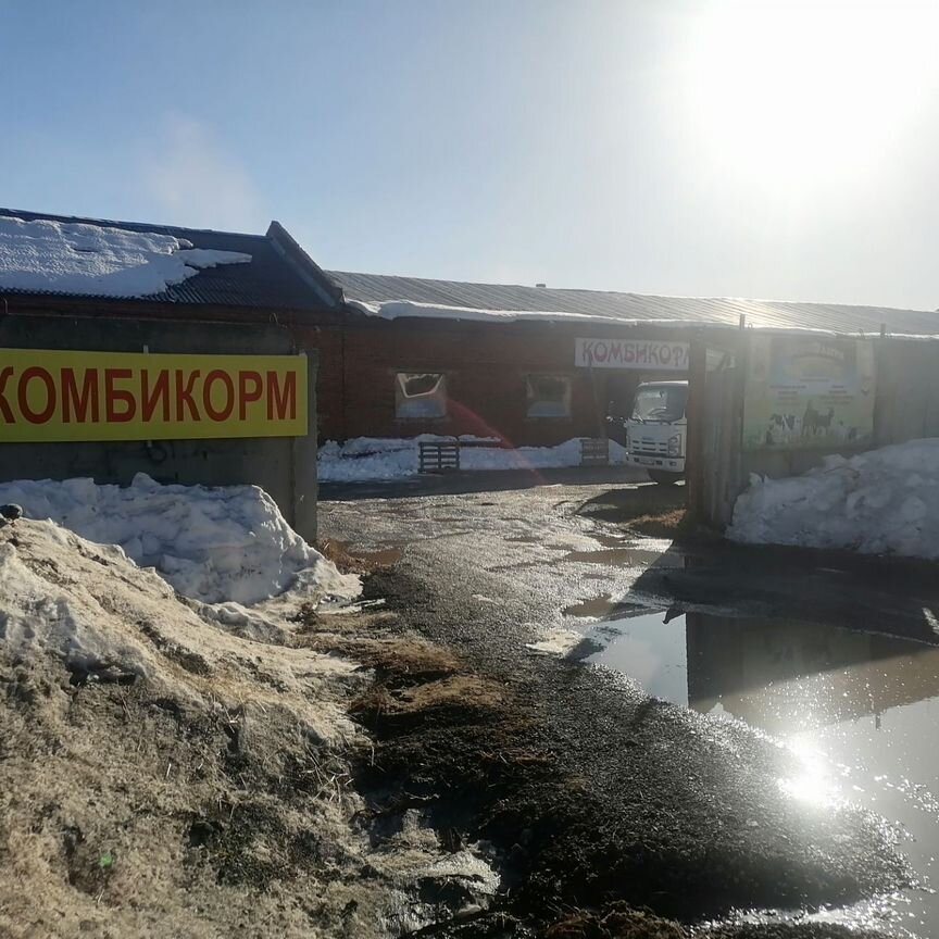 Продажа кормов для животных