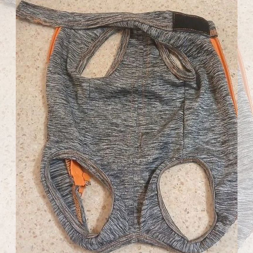 Попона для кошек или маленьких собак