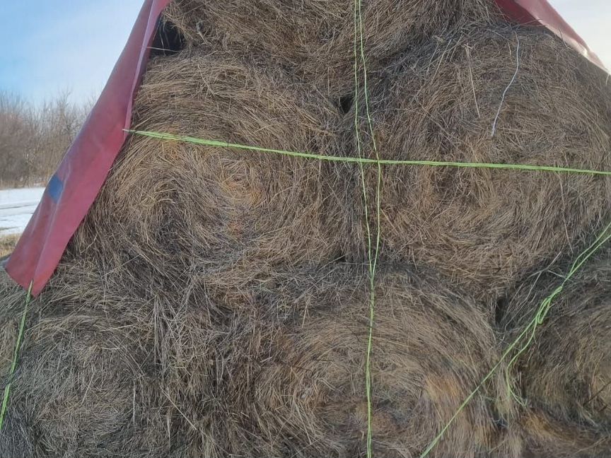 Продается сено в тюках