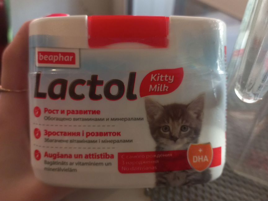 Молочная смесь для котят