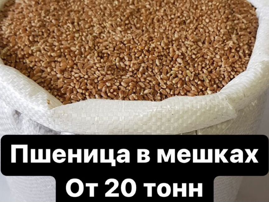 Пшеница, овес, ячмень, отруби пшеничные в мешках