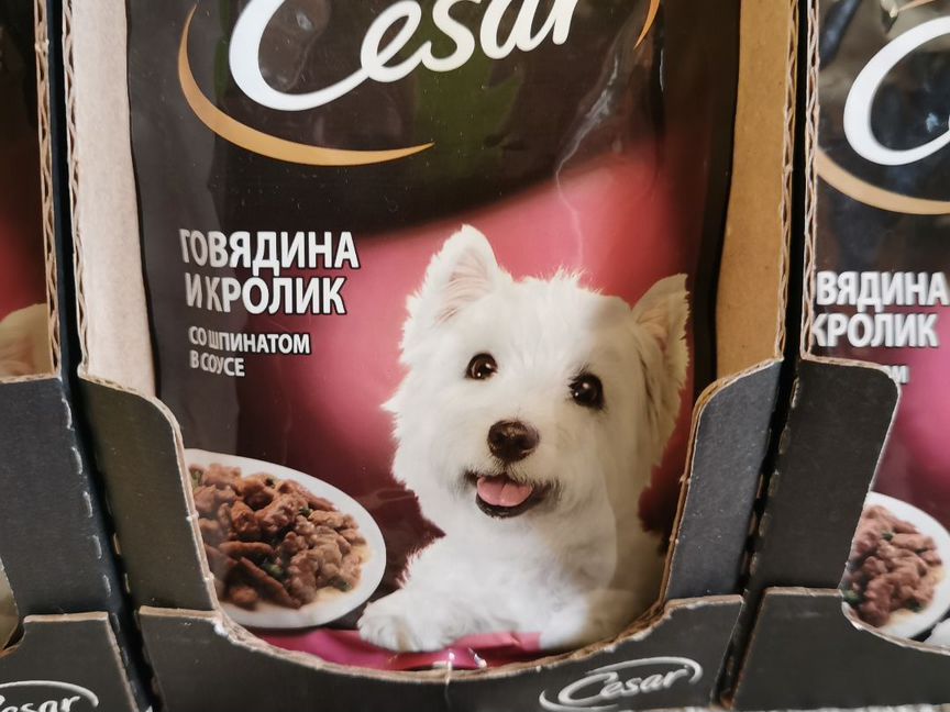 Корм для собак cesar