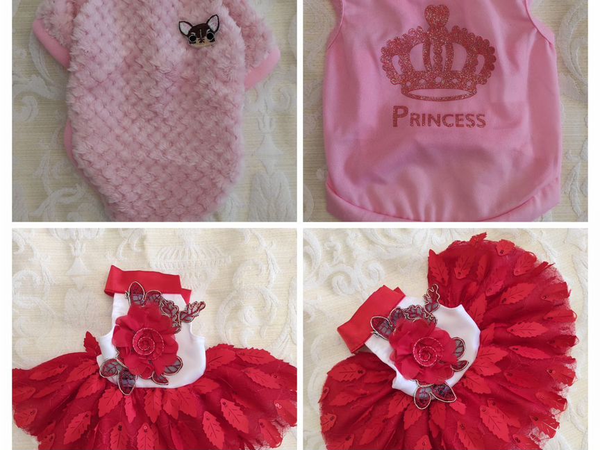 Одежда для животных