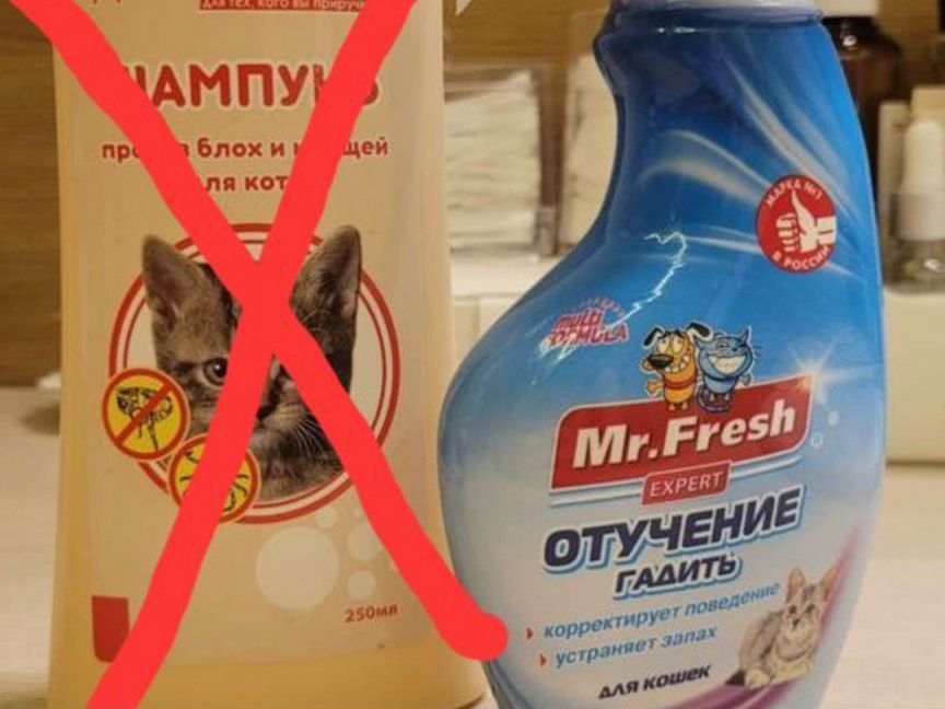 Средство для отучения котят гадить Mr. Fresh