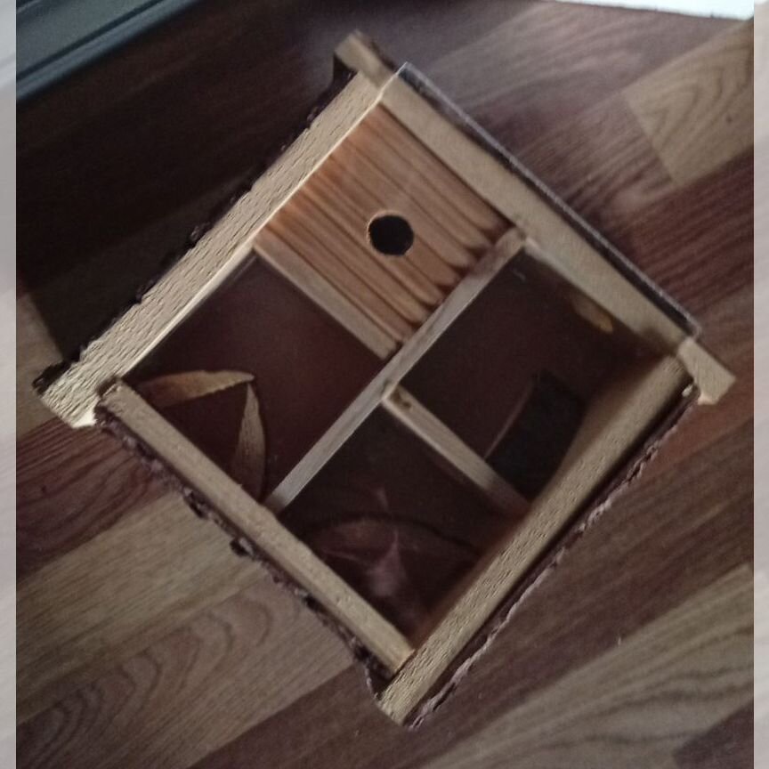 Лабиринт для хомяка