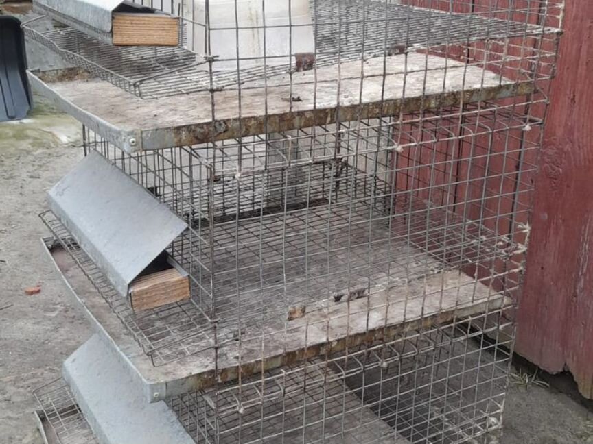 Клетки для перепелов бу