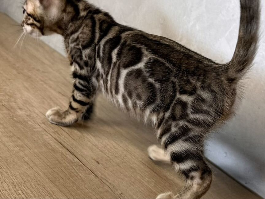 Мальчик с документами