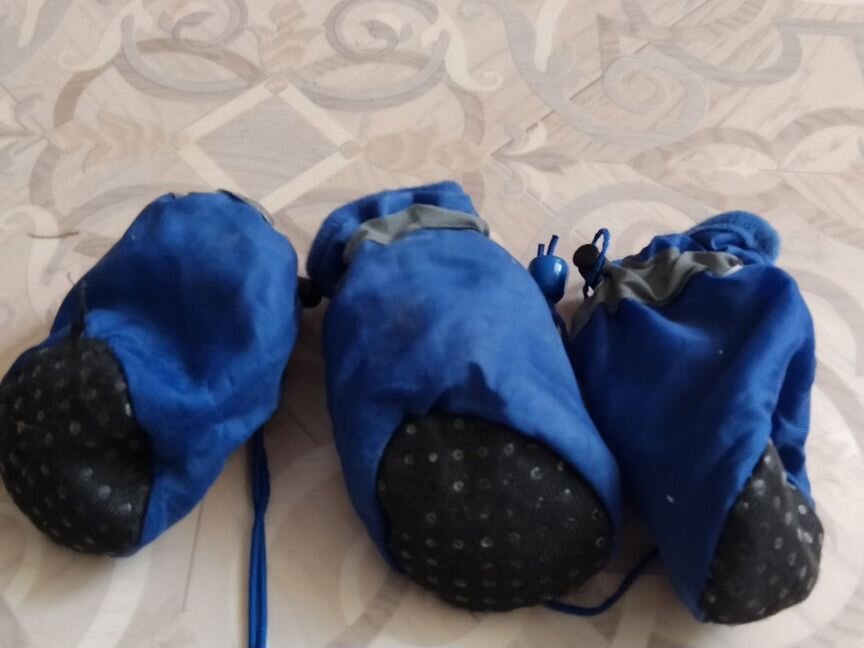 Ботинки для маленьких собак