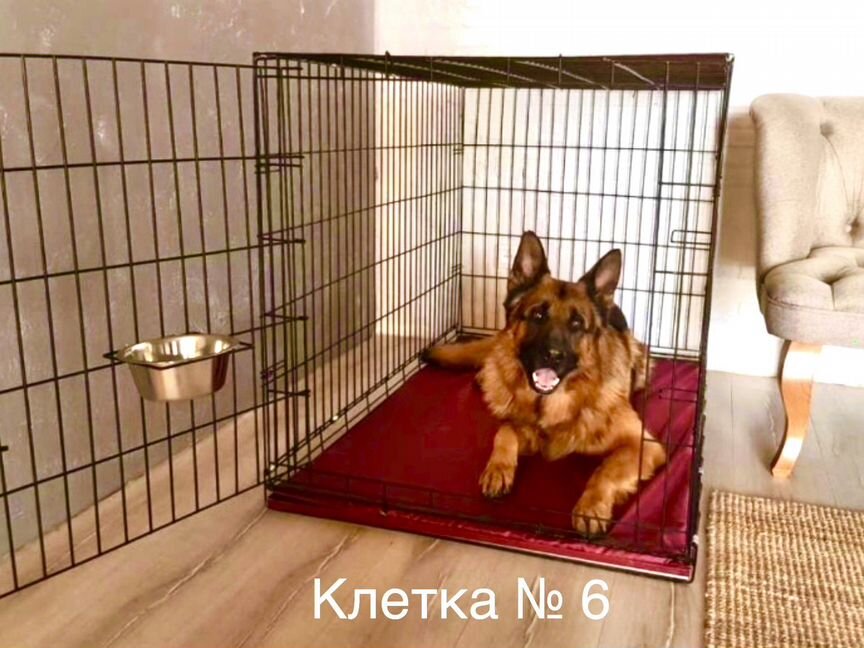 Клетка для собак 6