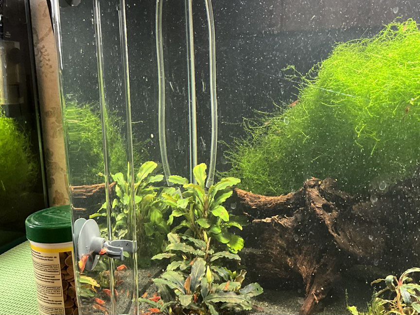 Трубка кварцевая для кормления креветок 28 см