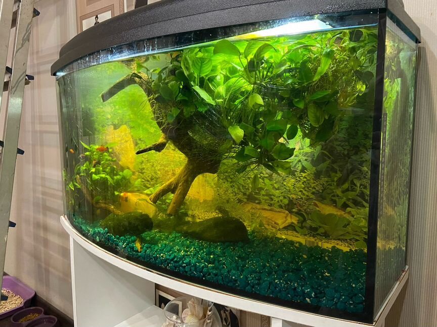 Аквариум с тумбой