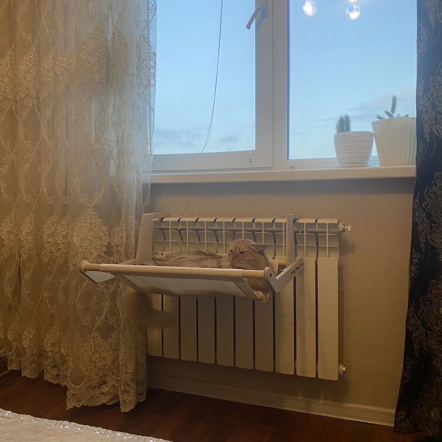Гамак для кошек