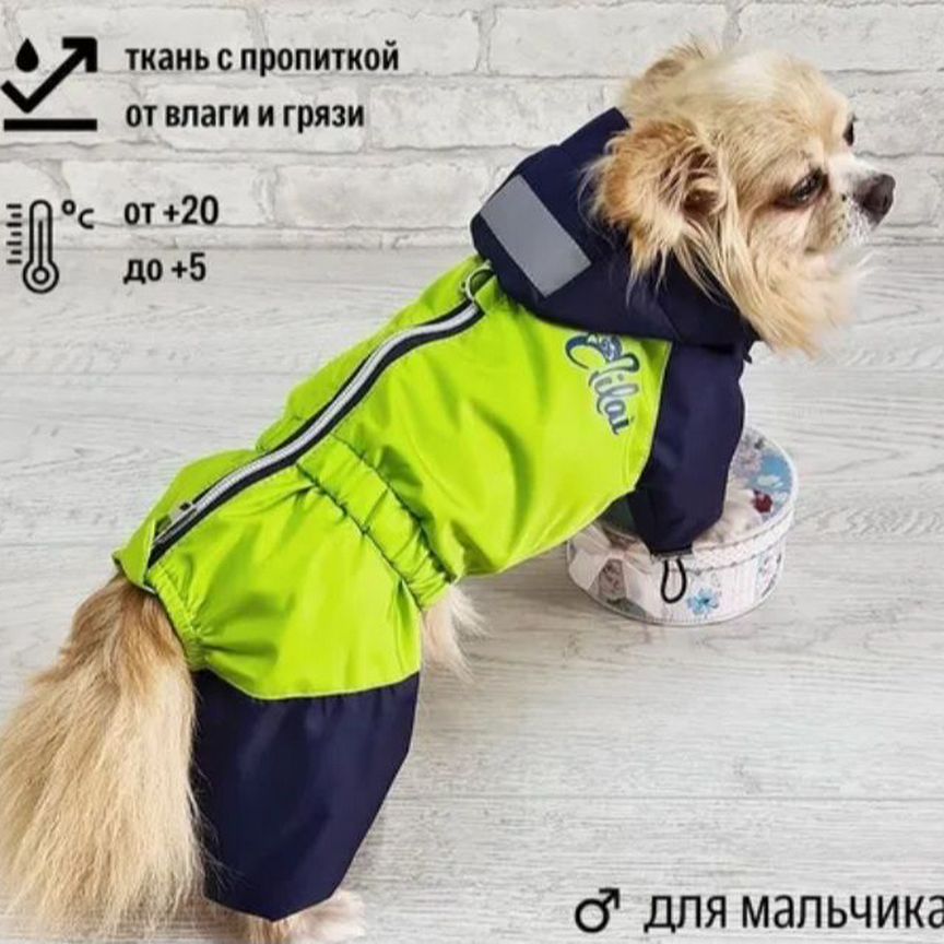 Дождевик для собак (мальчик)