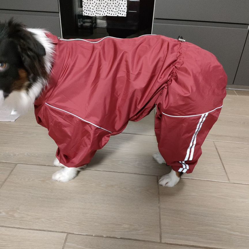 Дождевик комбинезон для больших собак