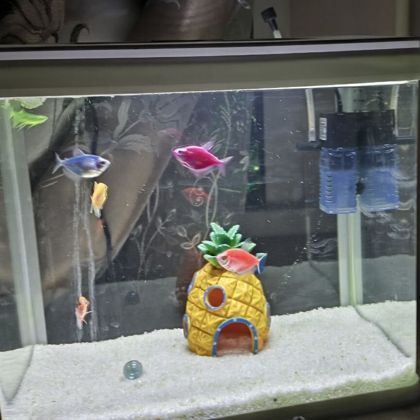 Аквариум с рыбками