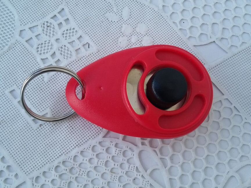 Кликер для дрессировки собак