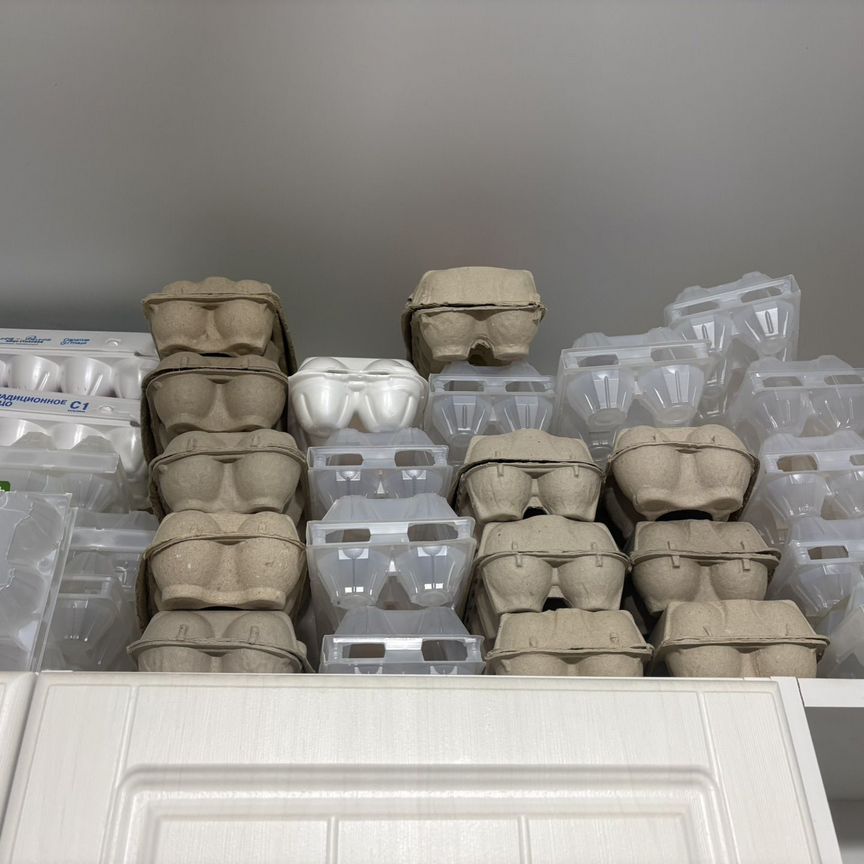 Ячейки для яиц