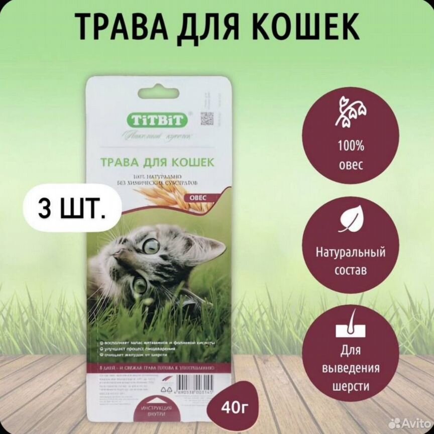 Трава для кошек