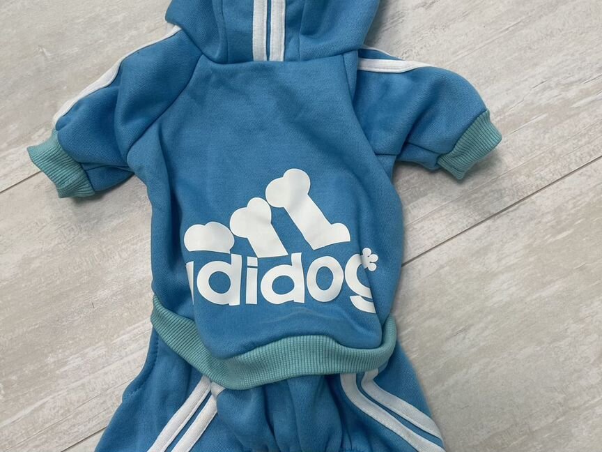 Костюм для собаки