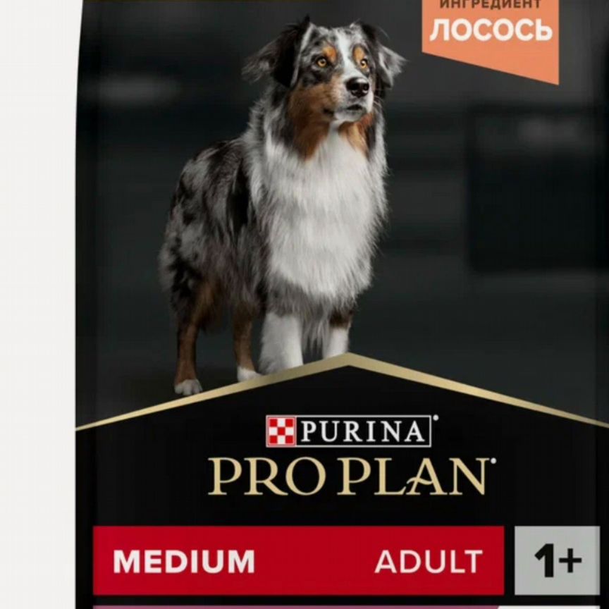 Корм сухой Pro Plan для взрослых собак Лосось