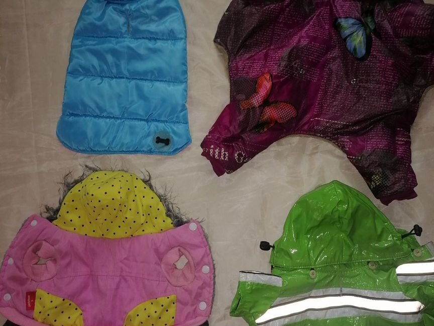 Одежда для маленьких собак