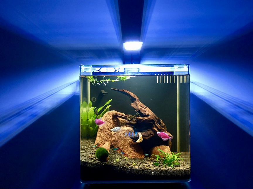 Аквариум на 40л +все необходимое