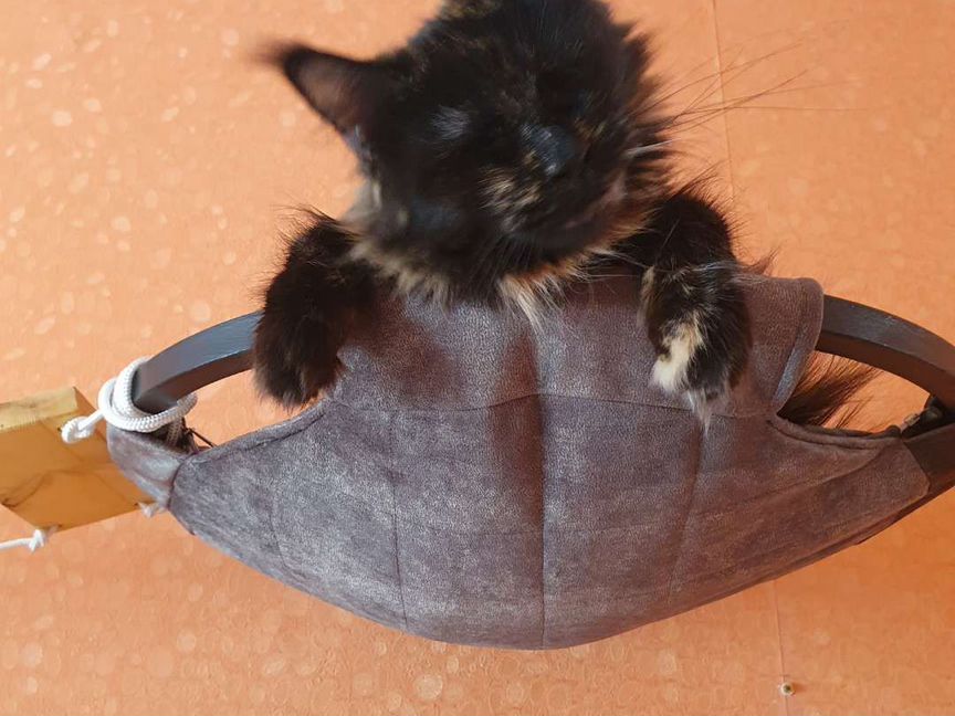 Подвесная лежанка, когтеточка, комплекс для кошек