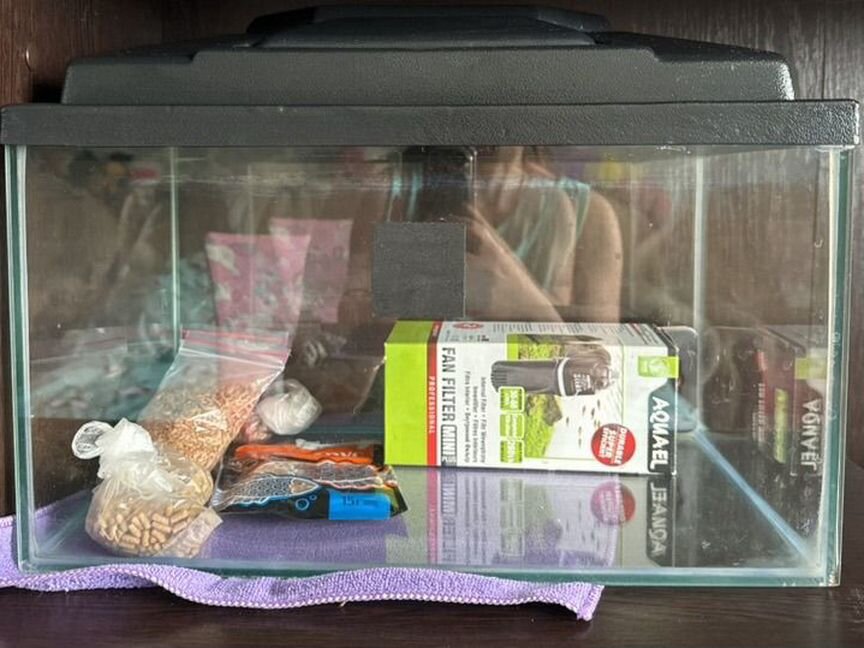 Аквариум на 20 литров