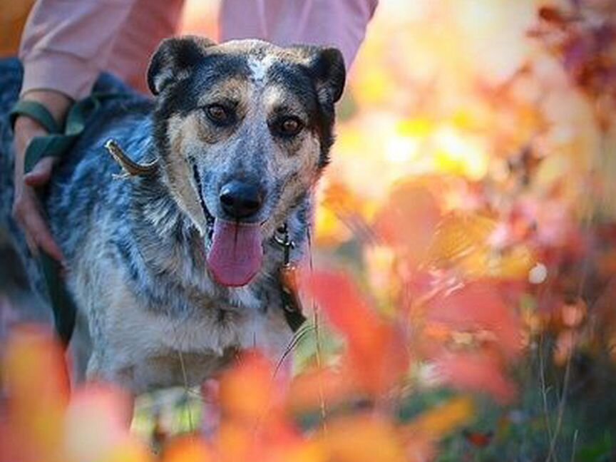 Дакота мечтает о семье